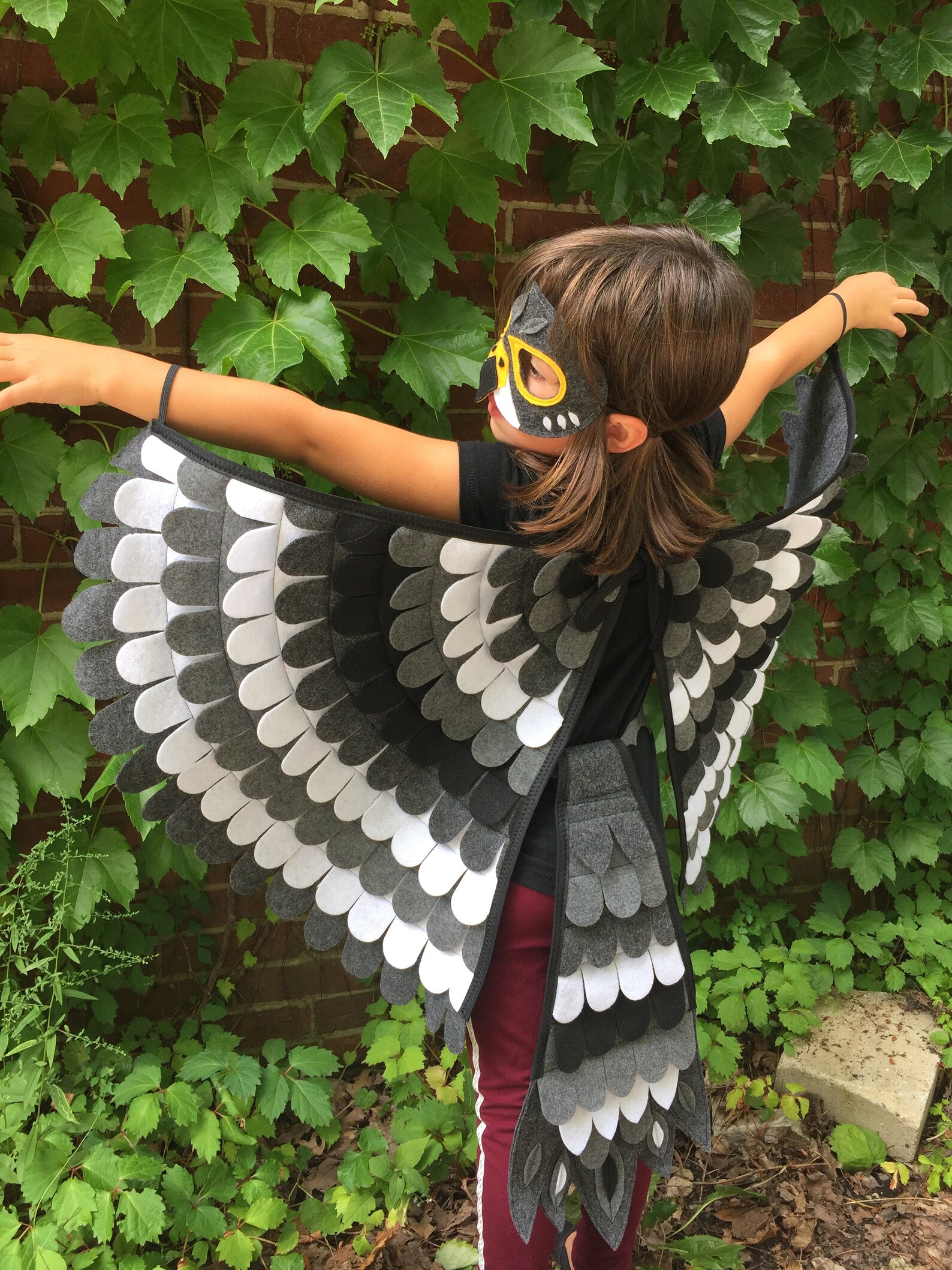Falcon Costume Set 3 Piece / Fierce Mask Tail and Fast Wings - Etsy