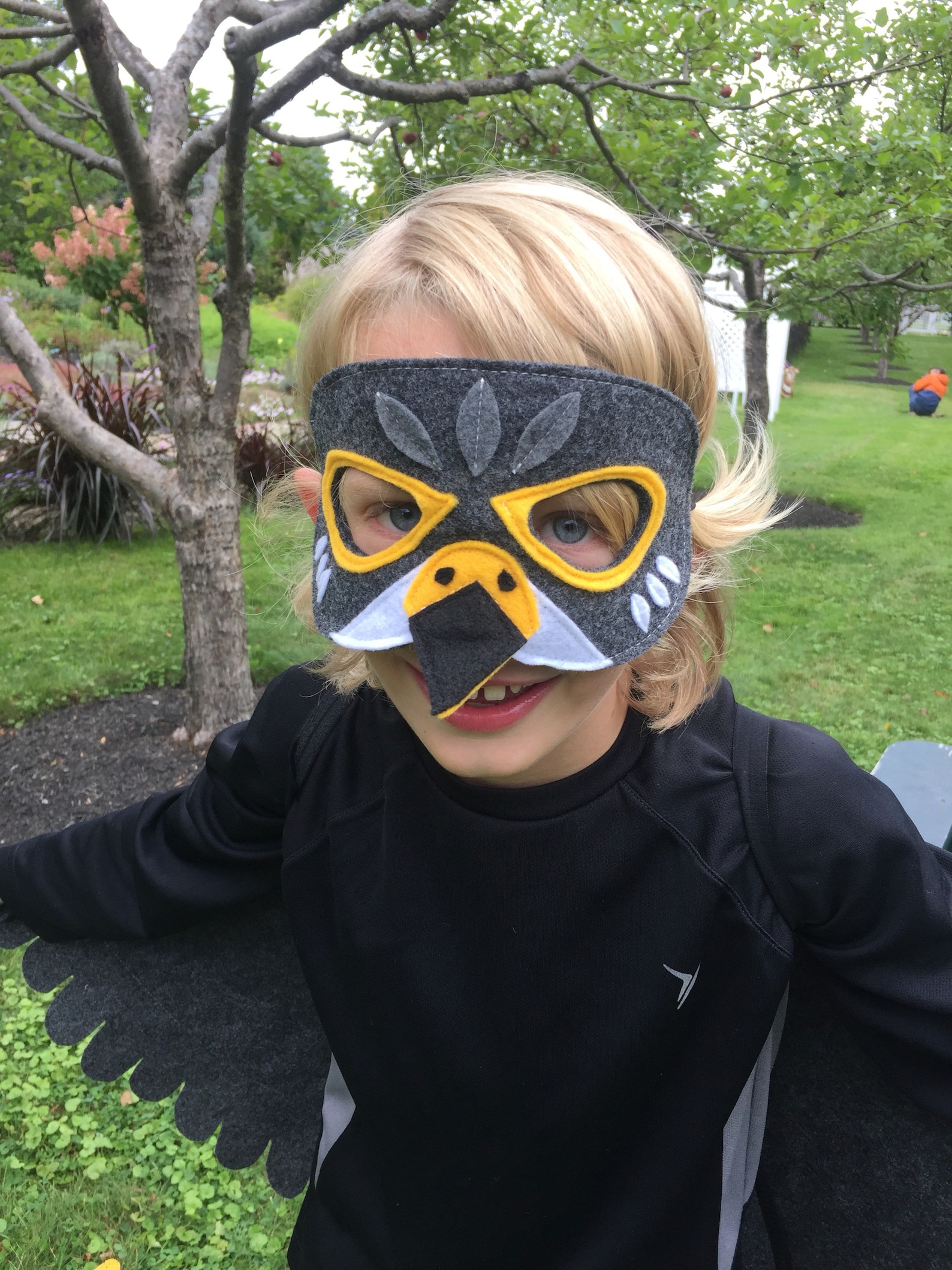 Falcon Costume Set / Wings and Mask / Peregrine Falcon Costume / Child ...