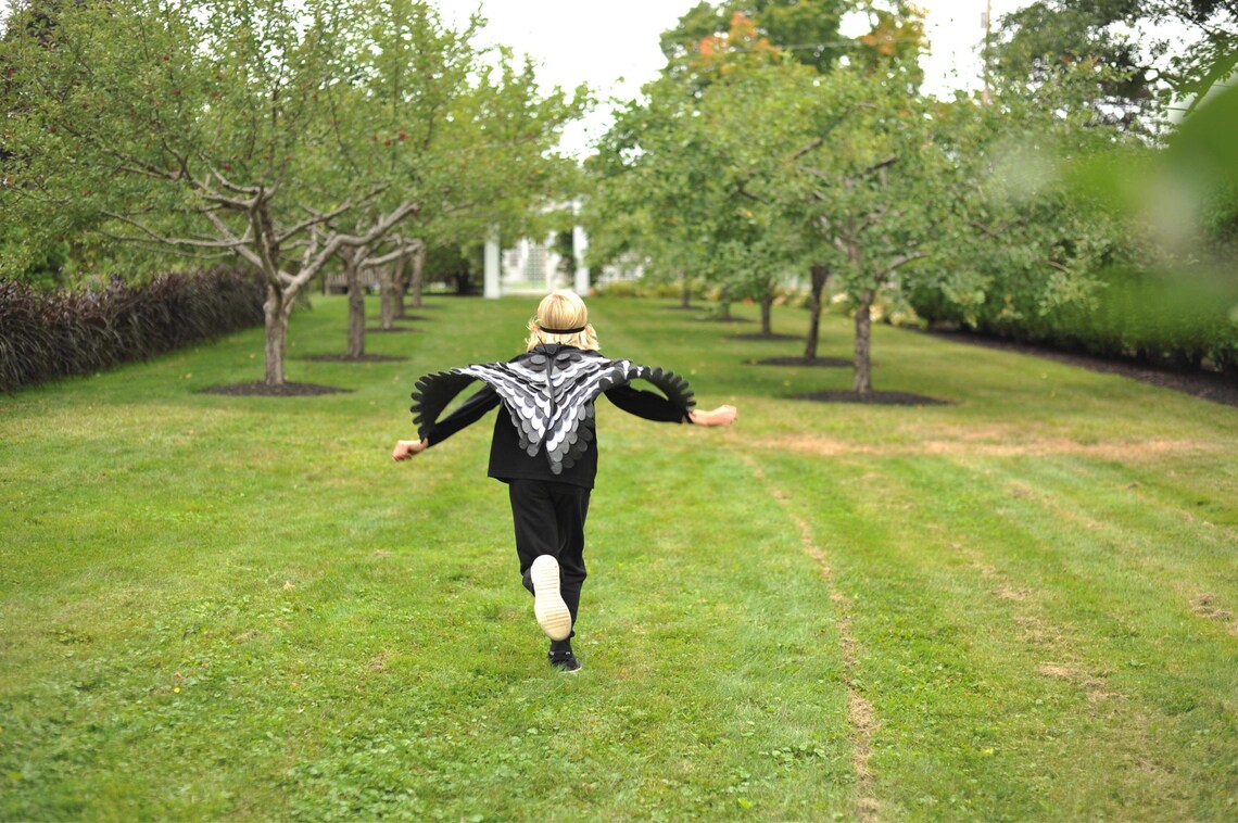 Falcon Costume Set / Wings and Mask / Peregrine Falcon Costume / Child ...