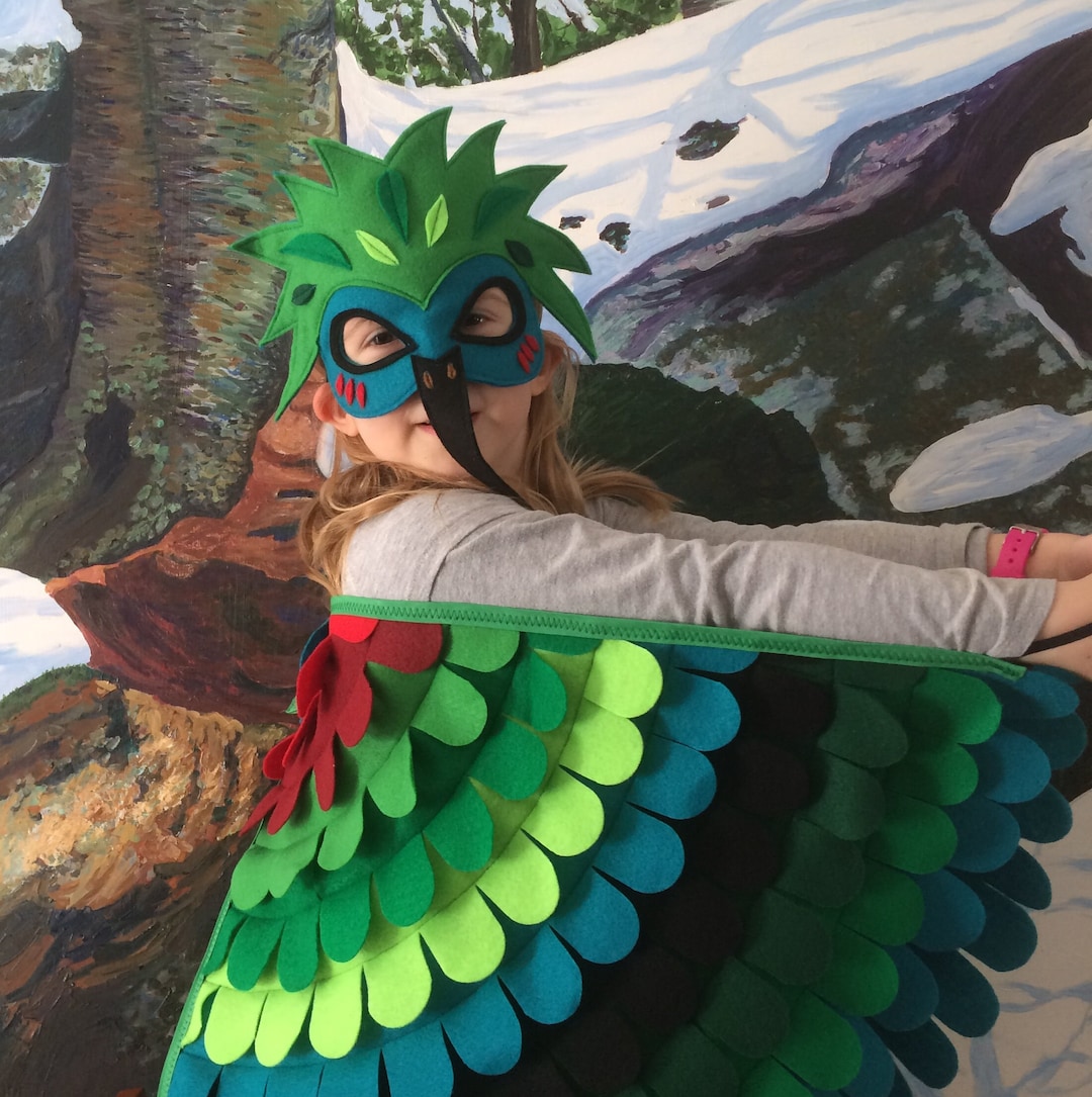 Hummingbird Costume/ Wings and Eye Mask Disguise/ Soft Flappable Felt ...