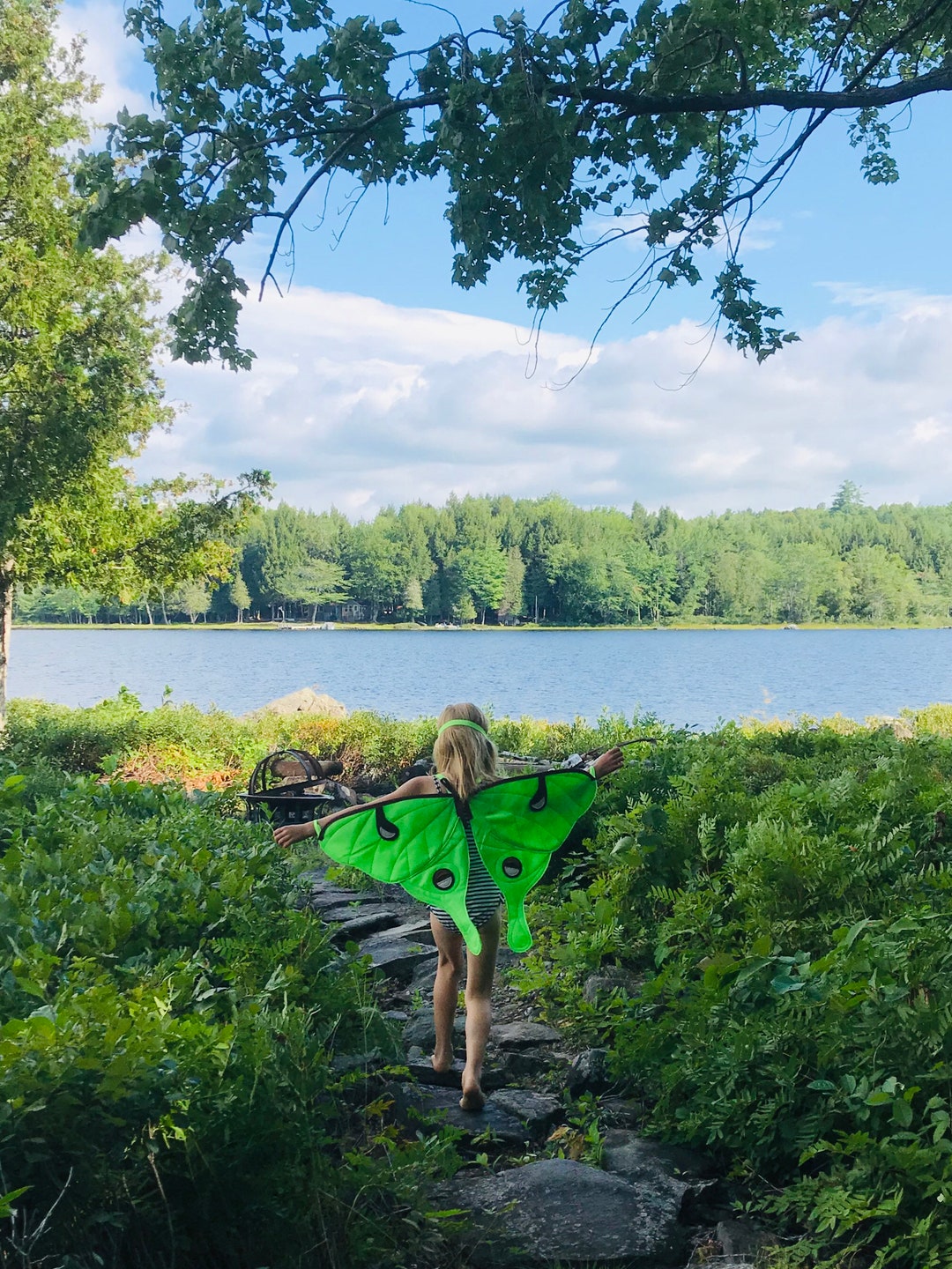 Luna Moth Costume Set / Soft Sturdy Flappable Wings and Moth Mask ...