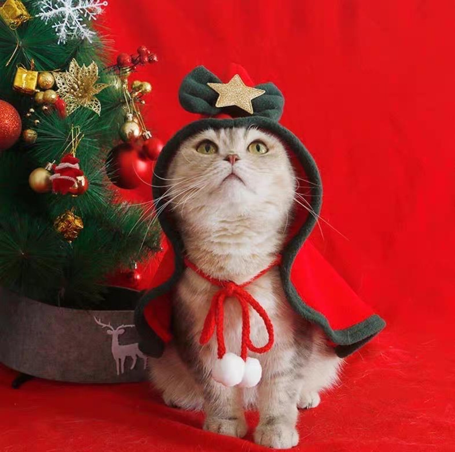 Christmas Tree Pet Costume | Holiday Cape & Hat, Tinsel Outfit - Etsy