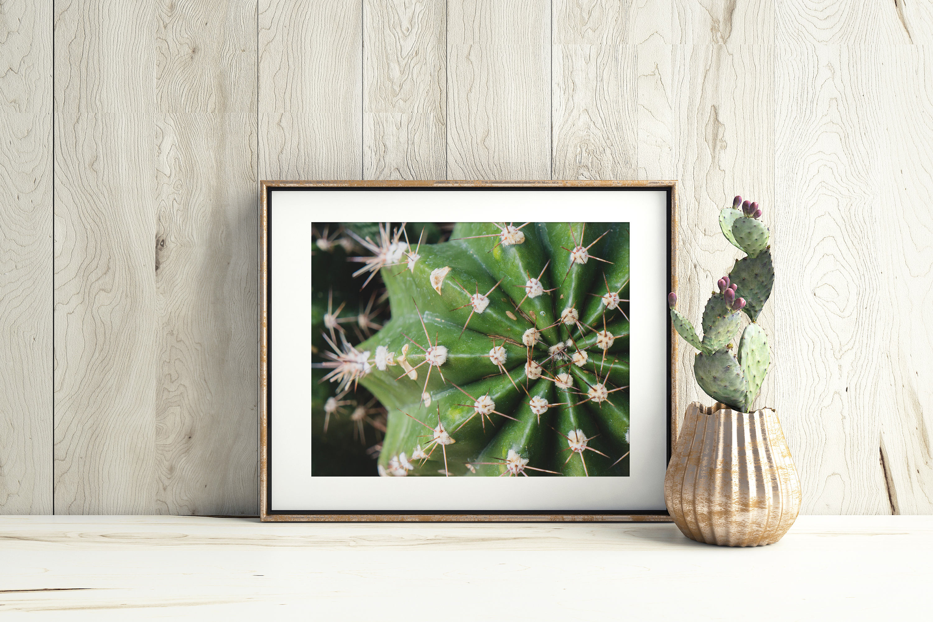 Desert Photography Flowering Cactus Desert Decor Nature Art - Etsy