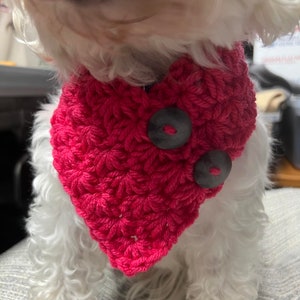 Small Breed Dog Scarf, Small Breed Dogs Crocheted Scarf, Dog Neck ...