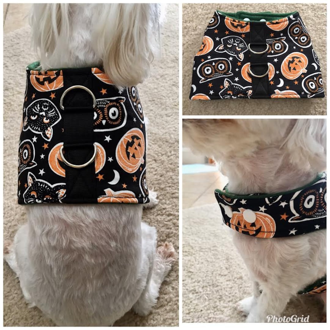 Halloween Dog Harness, Halloween Jack O Lantern Dog Vest Harness, Small ...