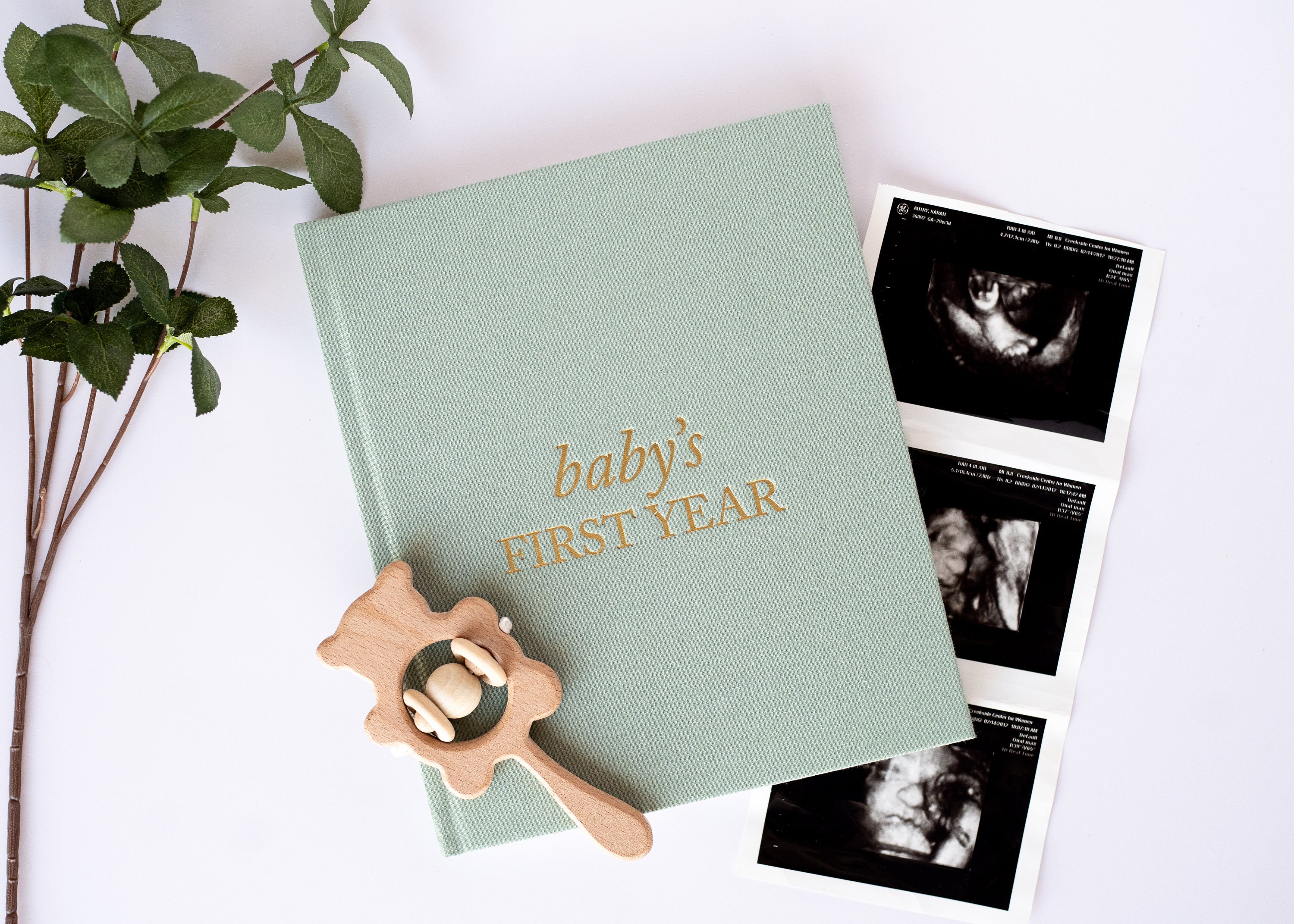 Baby's First Year Memory Book: Birth to 12 Month Milestone Journal ...