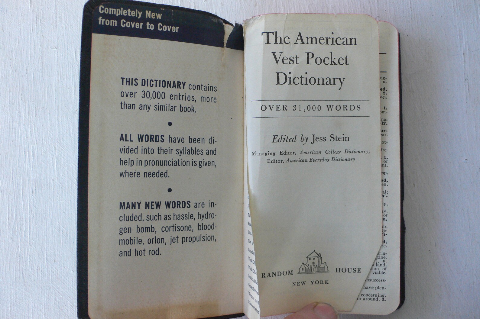 Vintage Tiny Book Stack Dictionaries Italian Dictionary | Etsy