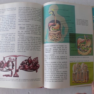 Vintage Book Set, the Science Library, 5 Volumes, 1960's Red Book Decor ...