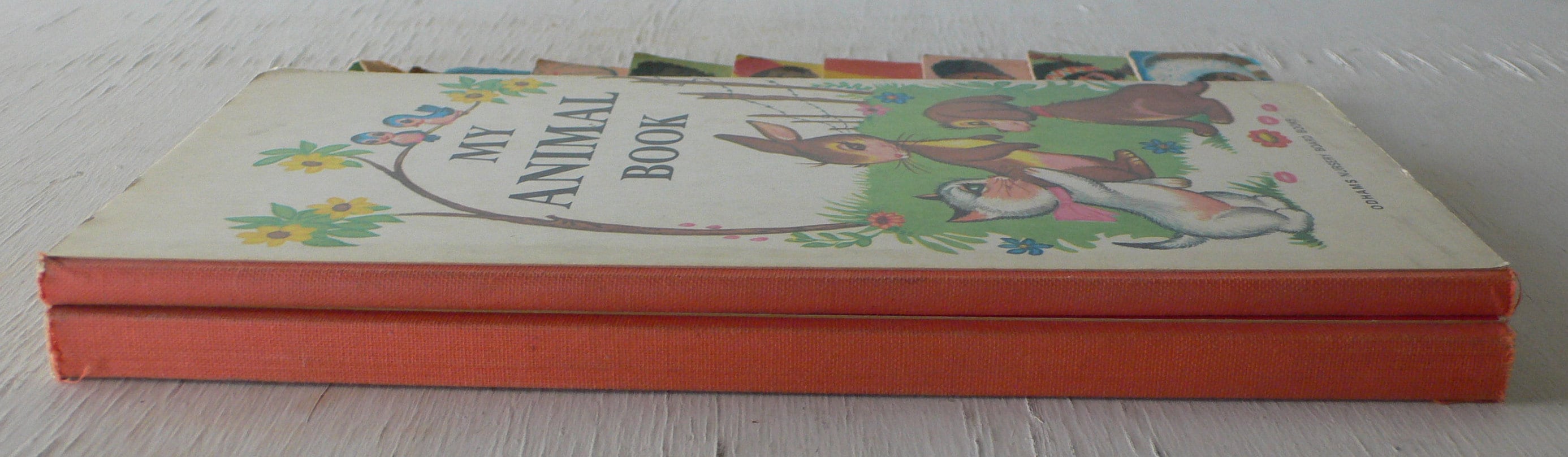 Vintage children's books rare board books My Animal Book - Etsy.de