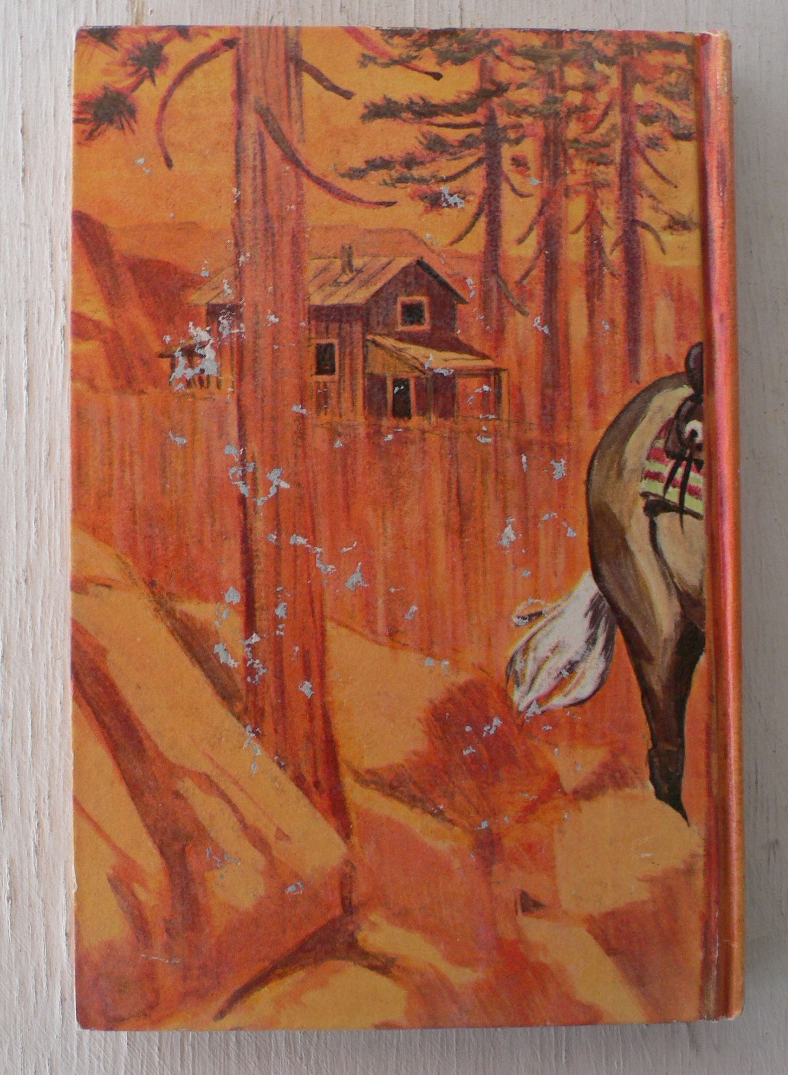 Vintage Children's Book Robin Kane the Mystery of the - Etsy