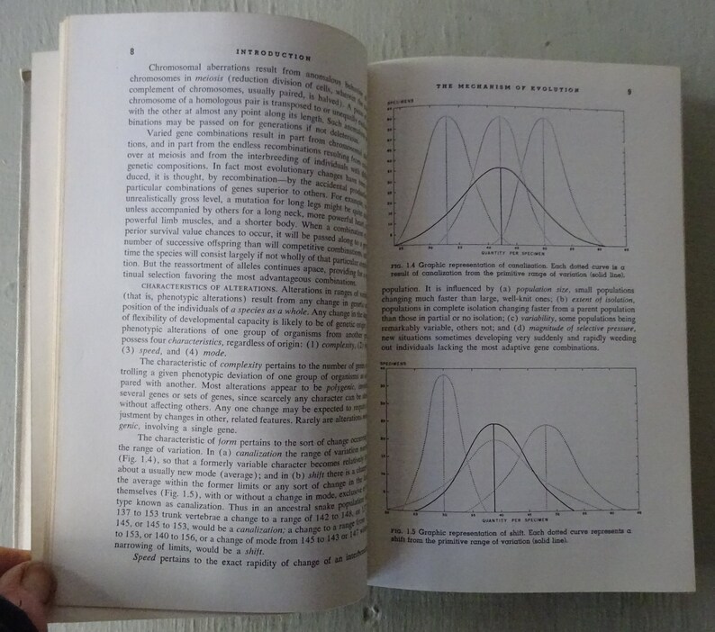 Vintage Anatomy Textbook: Evolution of Chordate Structure, 1960 - Etsy