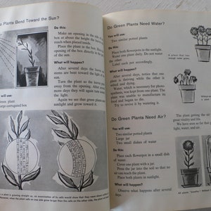 Vintage Book Set, the Science Library, 5 Volumes, 1960's Red Book Decor ...