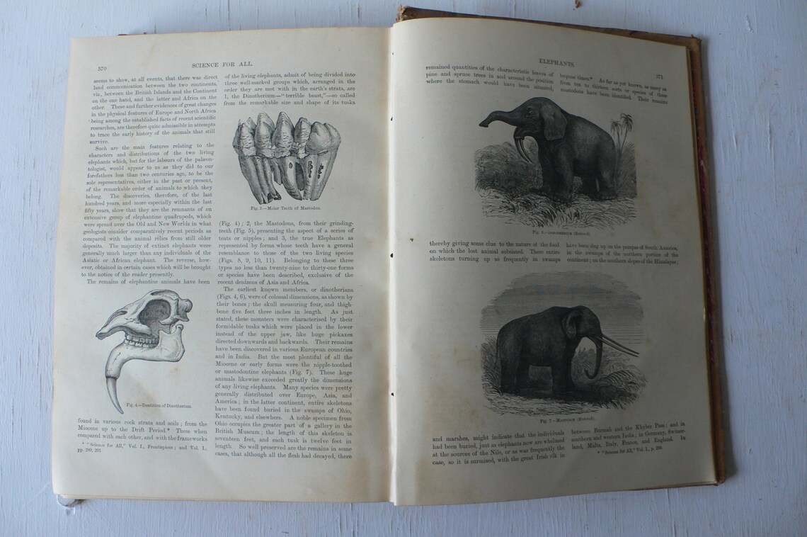 Antique Book Science for All Illustrated Leather Bound - Etsy