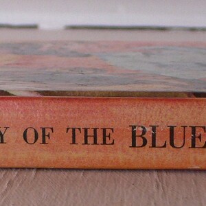 Vintage Children's Book, Robin Kane, the Mystery of the Blue Pelican ...