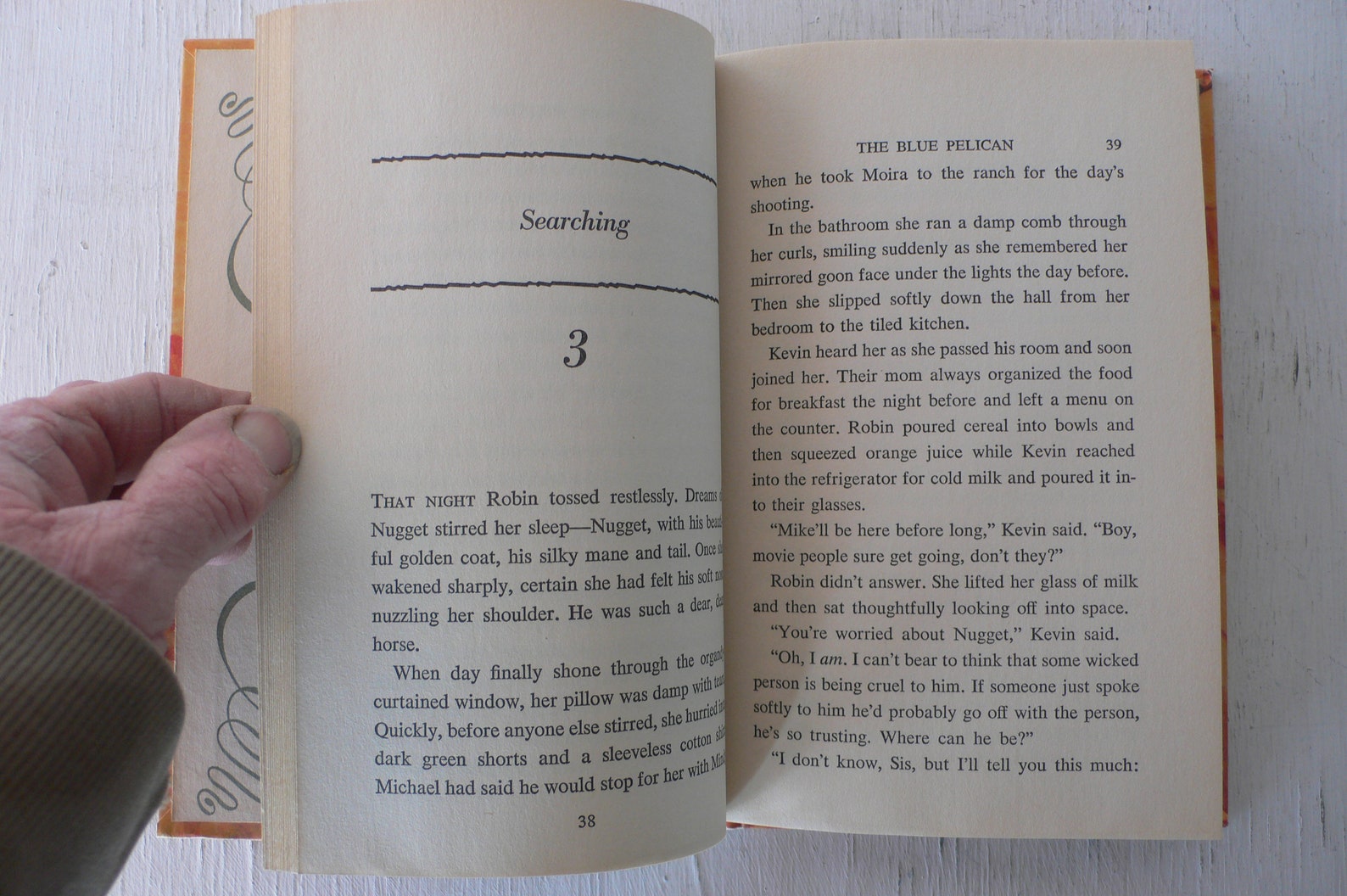 Vintage Children's Book Robin Kane the Mystery of the - Etsy