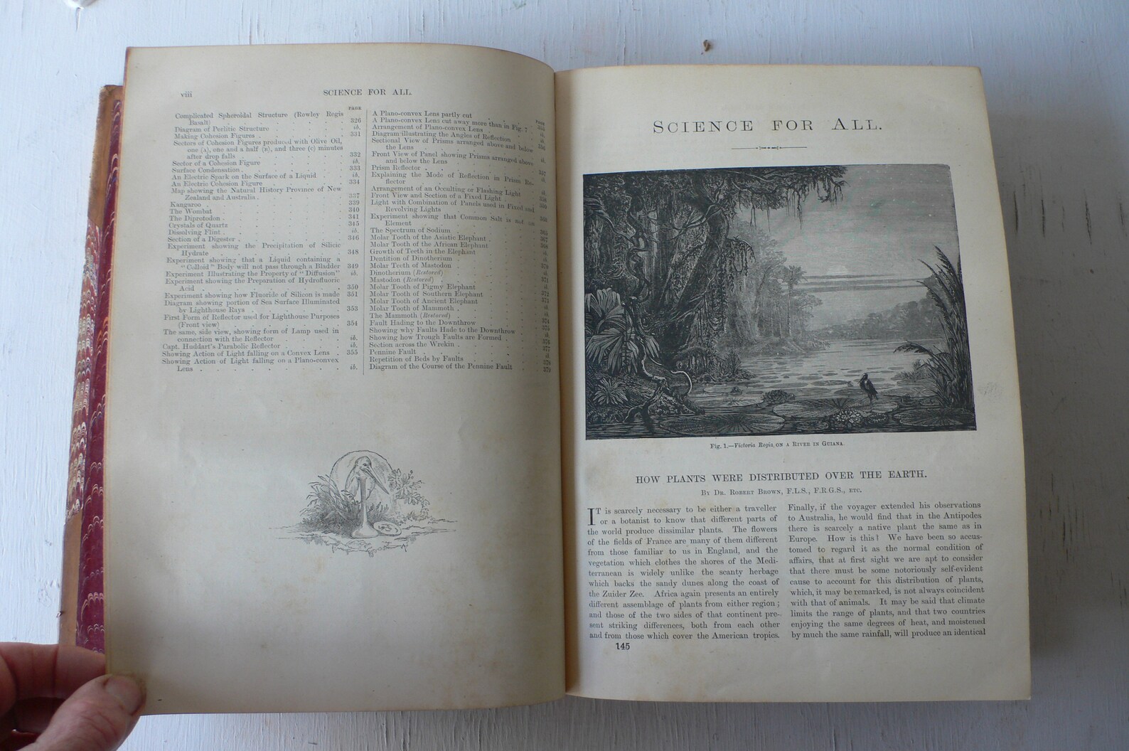 Antique Book Science for All Illustrated Leather Bound | Etsy