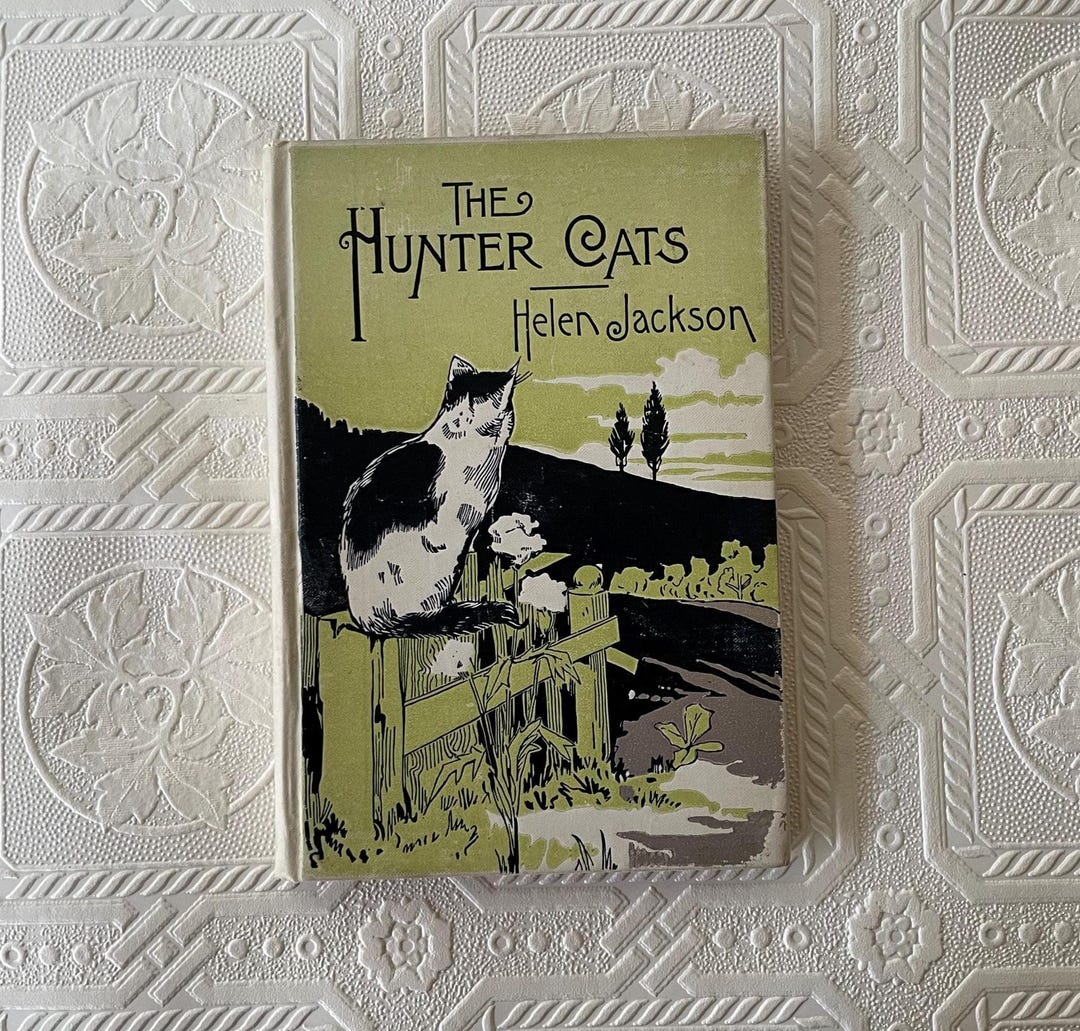 Antique Illustrated Book: the Hunter Cats of Connorloa, 1899 - Etsy