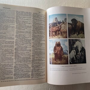 Vintage Dictionary, Webster's New Twentieth Century Dictionary, Second ...