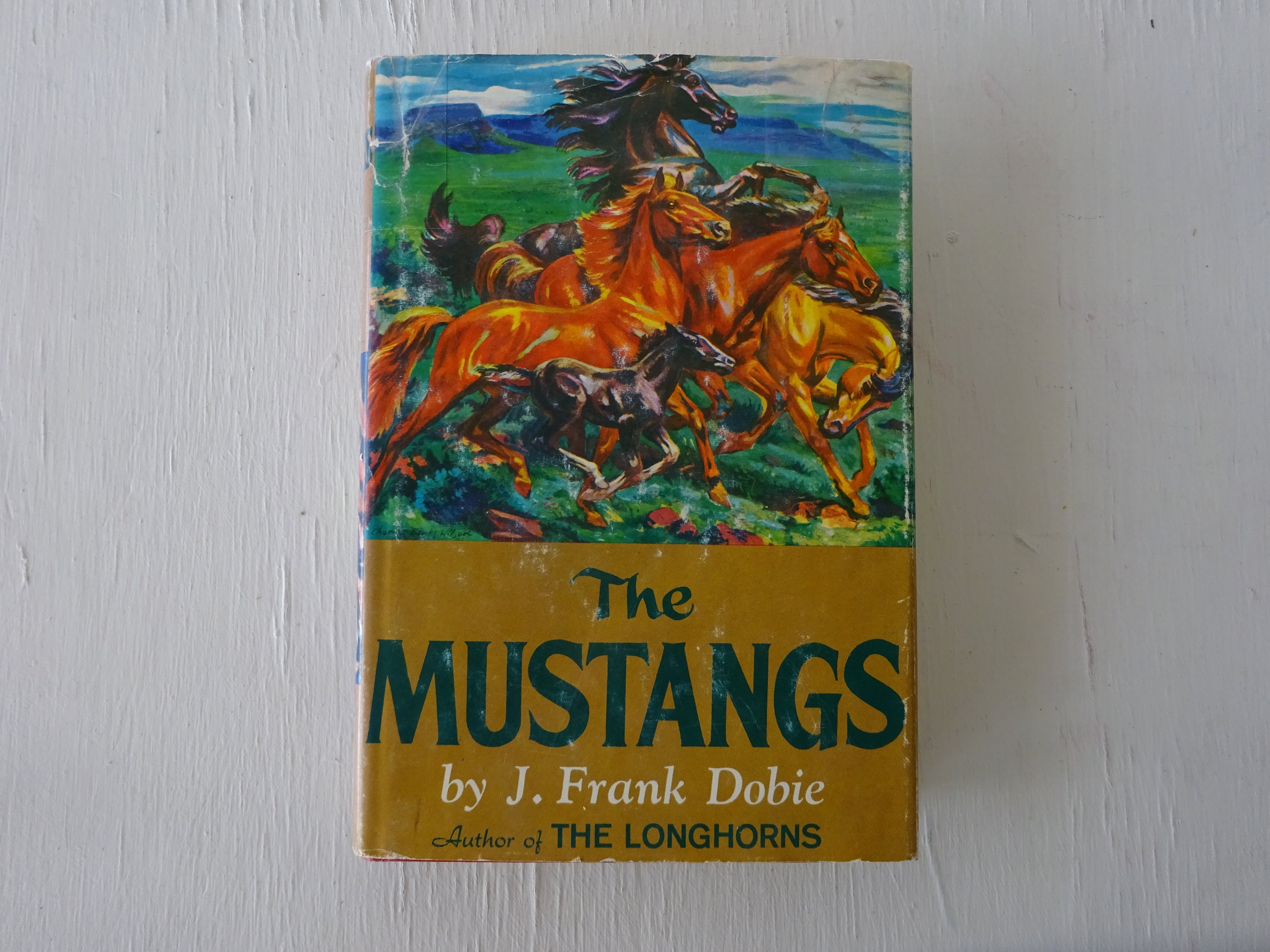 Vintage book The Mustangs Frank Dobie 1970 illustrated | Etsy
