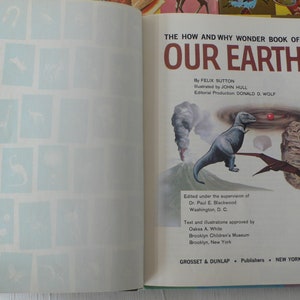 Vintage Children's Book Stack, the How and Why Wonder Book Series ...