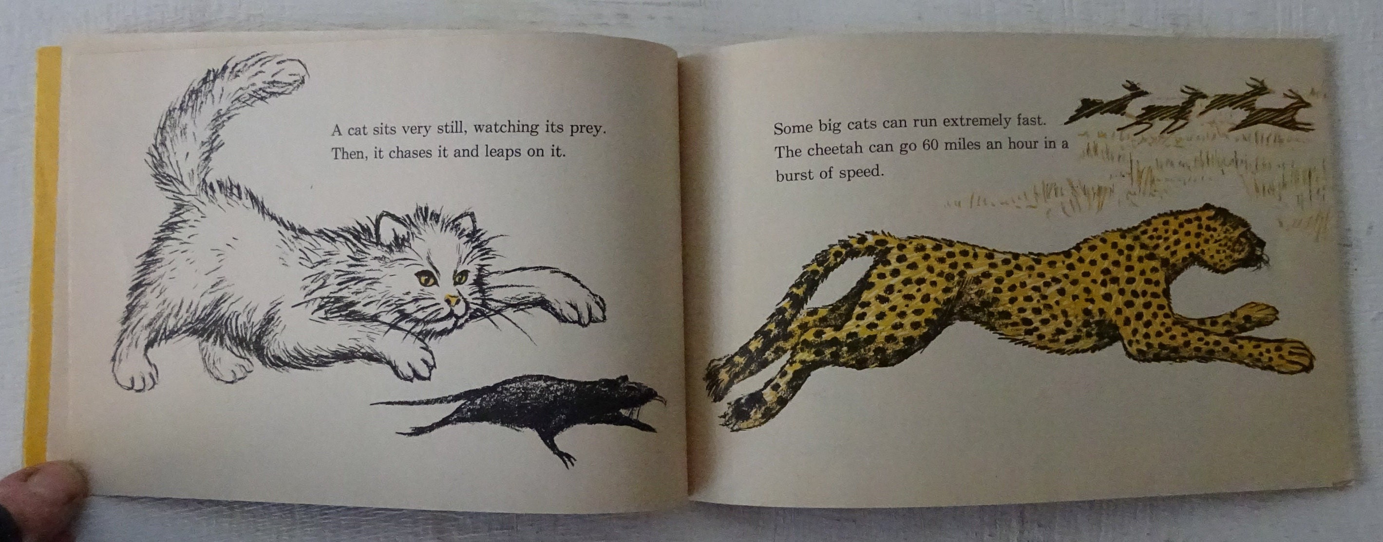 Vintage 'I Can Read About Cats and Kittens' Children's Book, 1973 - Etsy
