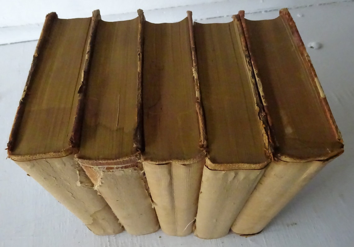 Antique Book Stack Raw Edge Book Spines Deconstructed - Etsy