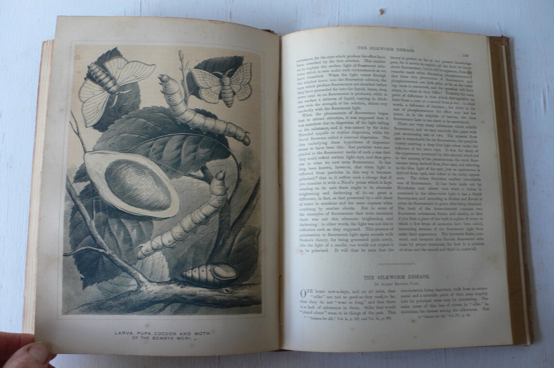 Antique Book Science for All Illustrated Leather Bound - Etsy