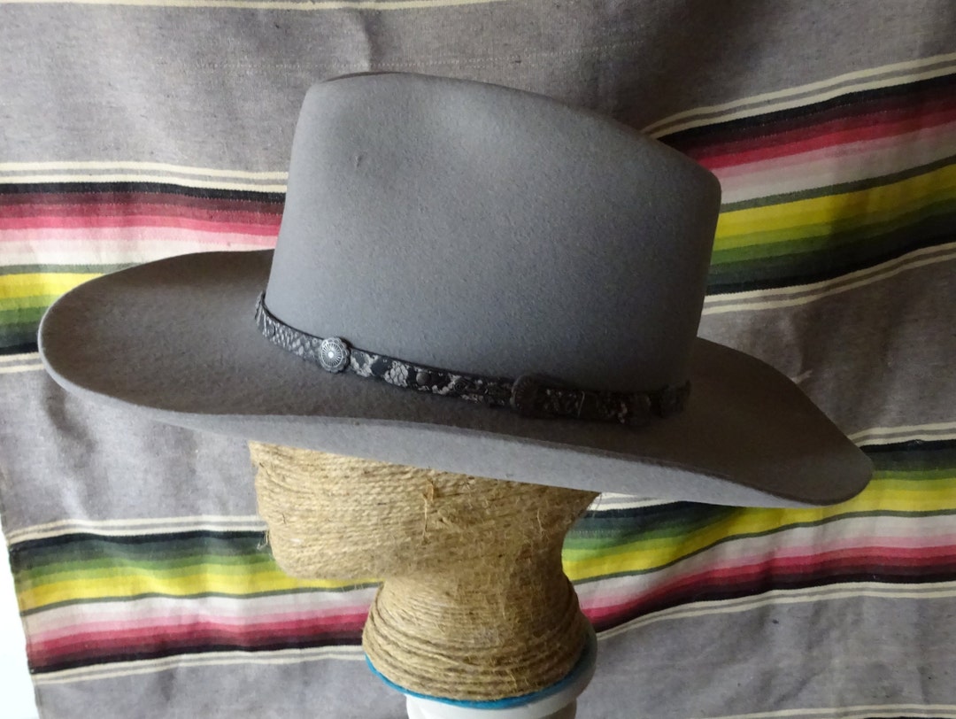 Vintage Cowboy Hat, Charley Horse Brand, Western Style, Silver Belly ...