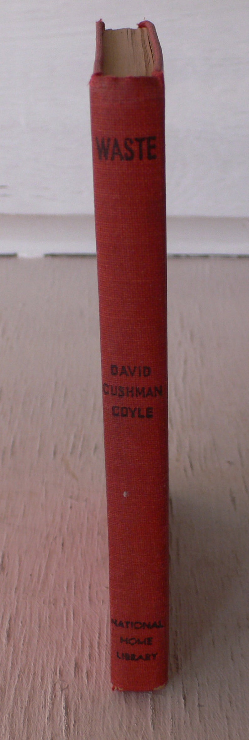 Waste by David Cushman Coyle, 1935 First Edition Vintage Hardcover - Etsy Australia