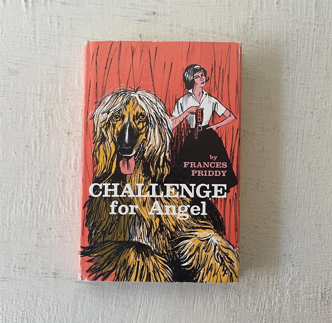 Vintage Story Book, Challenge for Angel, Frances Priddy, 1958 ...