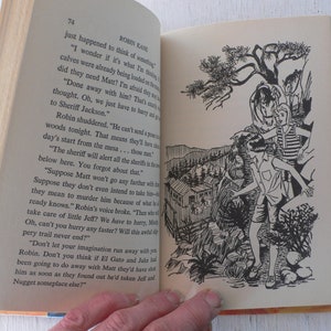 Vintage Children's Book, Robin Kane, the Mystery of the Blue Pelican ...