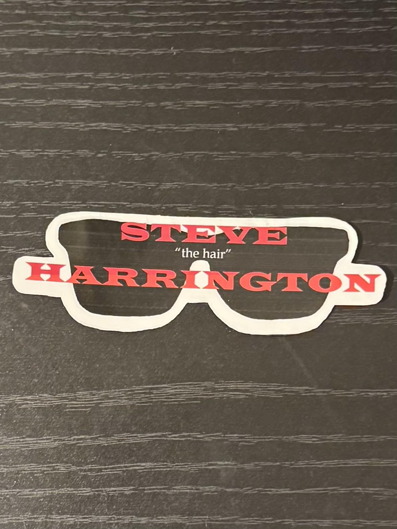 Team Steve Harrington Sticker Pack - Stranger Things Inspired Stickers ...