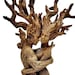 Amor Silvanus: Embracing Dryads Statue | Mythical Forest Creature ...