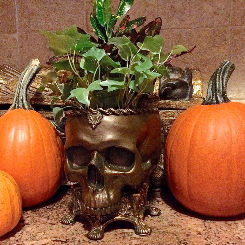 Skull Planter - Etsy