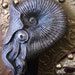 Nautilus Ammonite Cane, Hand Sculpted Walking Stick | Nautical Fossil ...