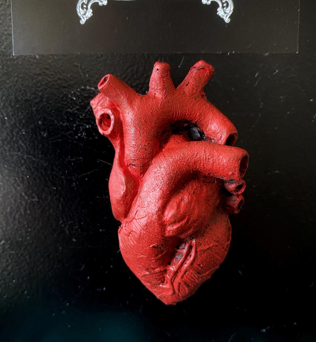 Anatomical Heart Magnet, Hand Painted Resin Sculpture | Gothic Fantasy ...