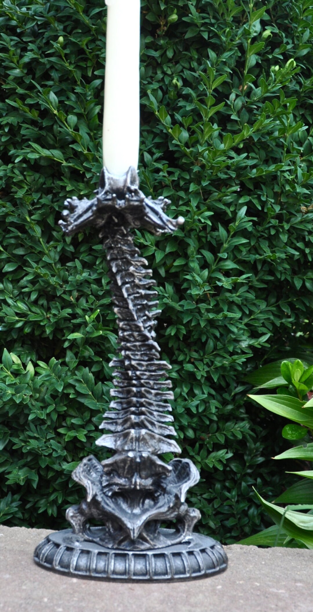 Helix Ossuary Spine Candlestick Holder, Hand Sculpted Resin Sculpture ...