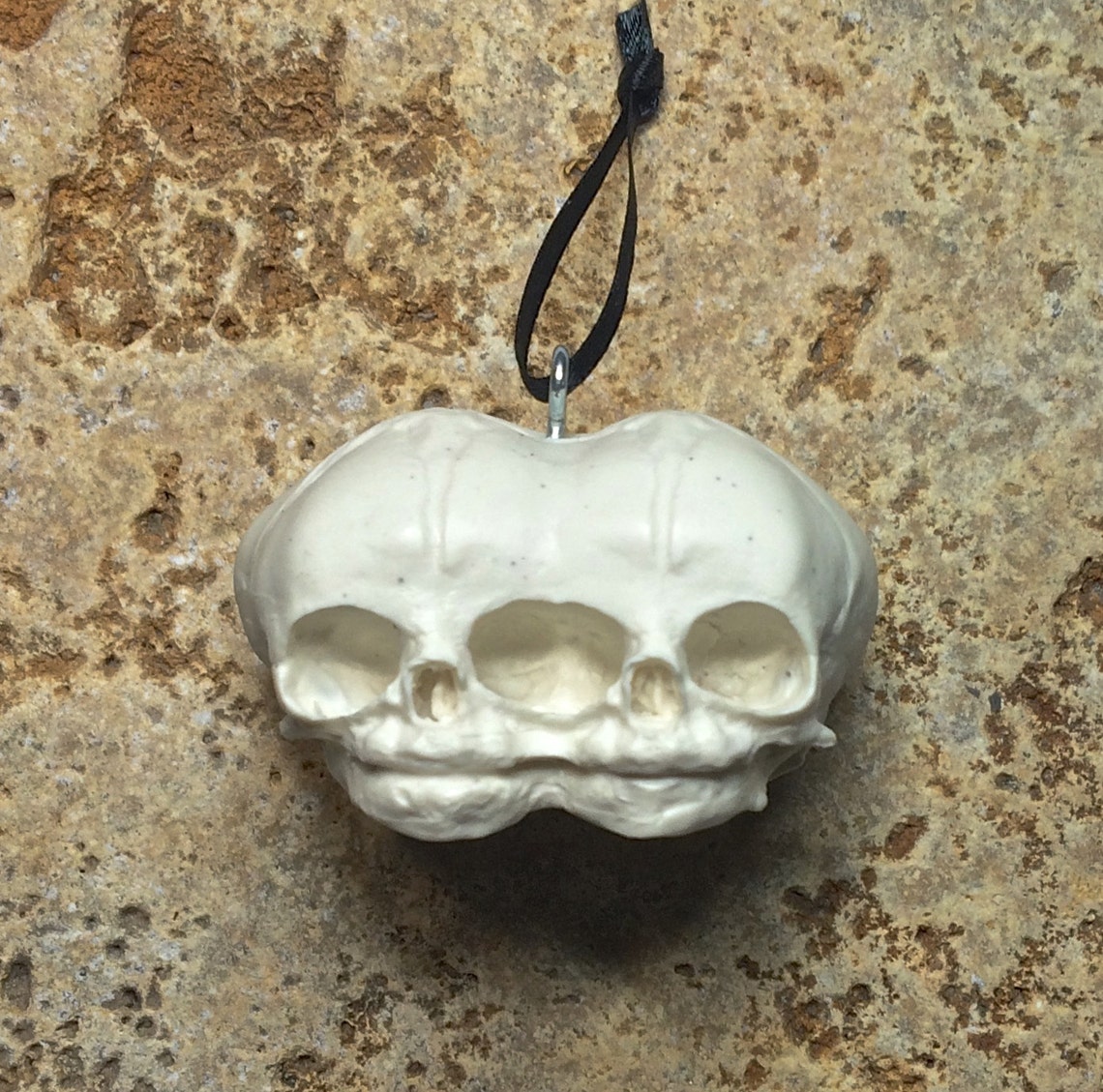 Conjoined Twins Fetal Skull Ornament - Etsy