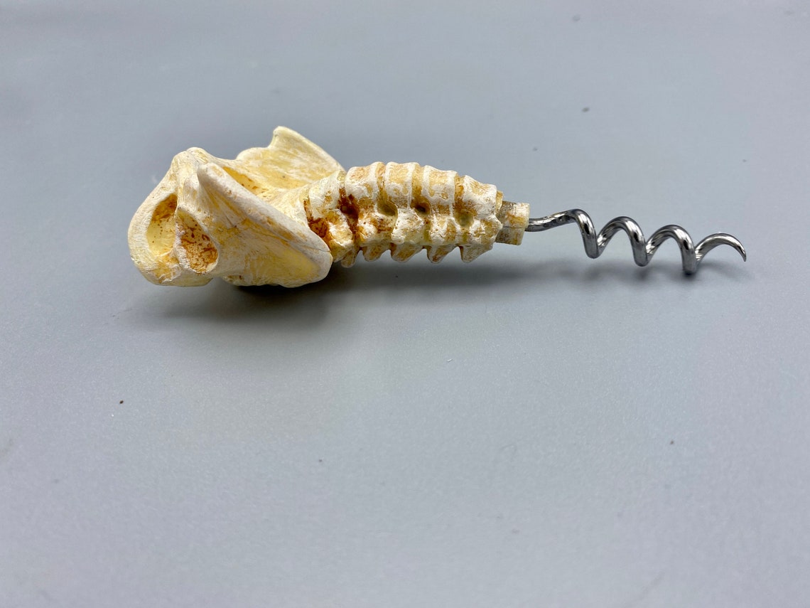 Spine and Pelvis Corkscrew bone finish | Etsy