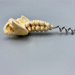 Spine and Pelvis Corkscrew, Hand Painted Resin | Gothic Medical Decor ...