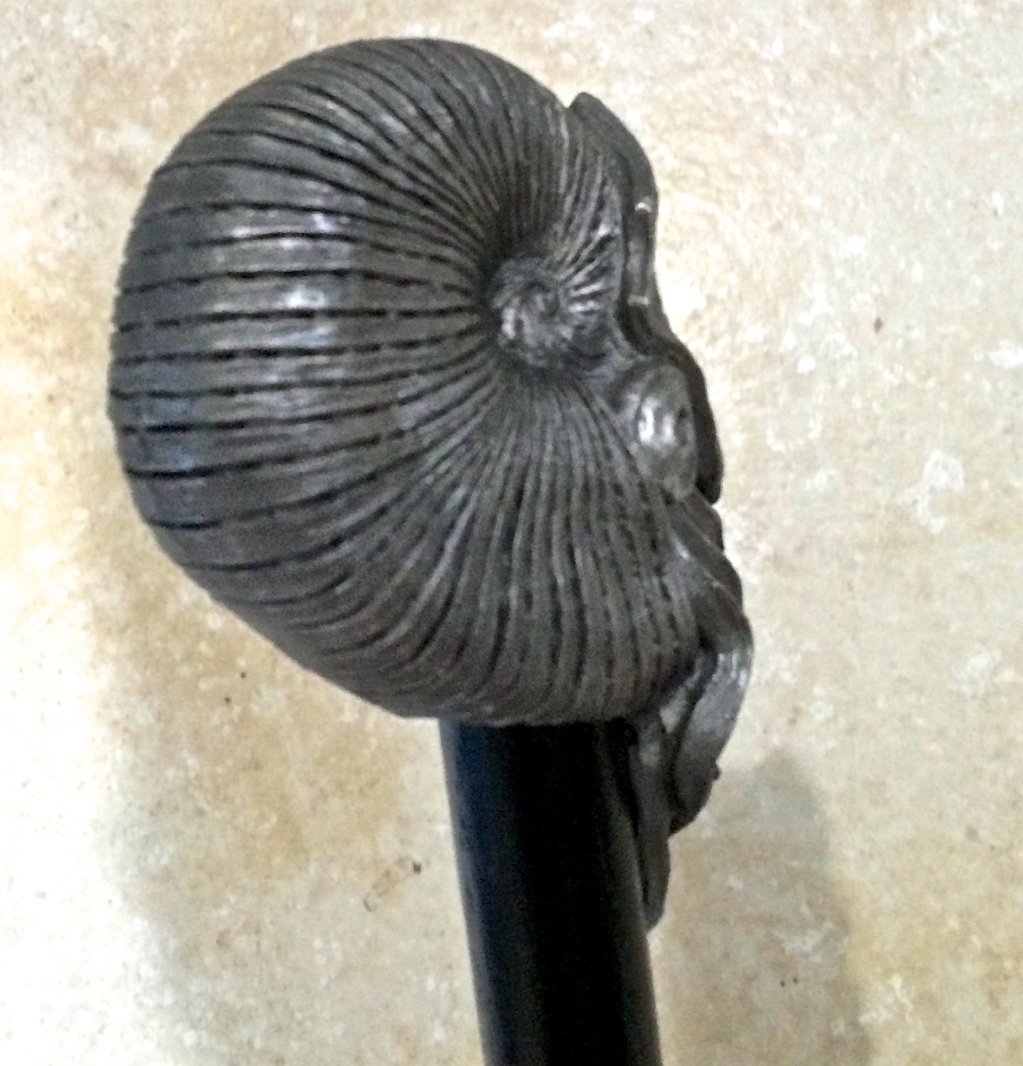 Nautilus Ammonite Cane, Hand Sculpted Walking Stick | Nautical Fossil ...