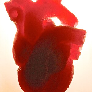 Anatomical Heart Magnet, Translucent Red Resin Sculpture | Gothic ...