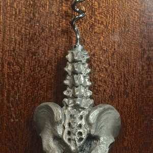 Spine and Pelvis Corkscrew, Hand Painted Resin | Gothic Medical Decor ...