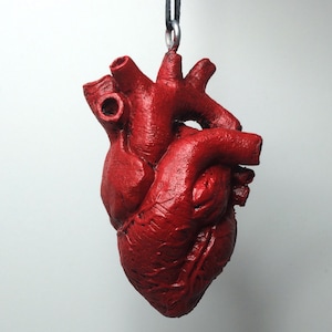 Anatomical Human Heart Ornament | Unique Gothic Home Decor | Resin ...
