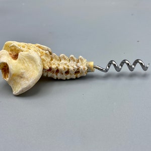 Spine and Pelvis Corkscrew, Hand Painted Resin | Gothic Medical Decor ...