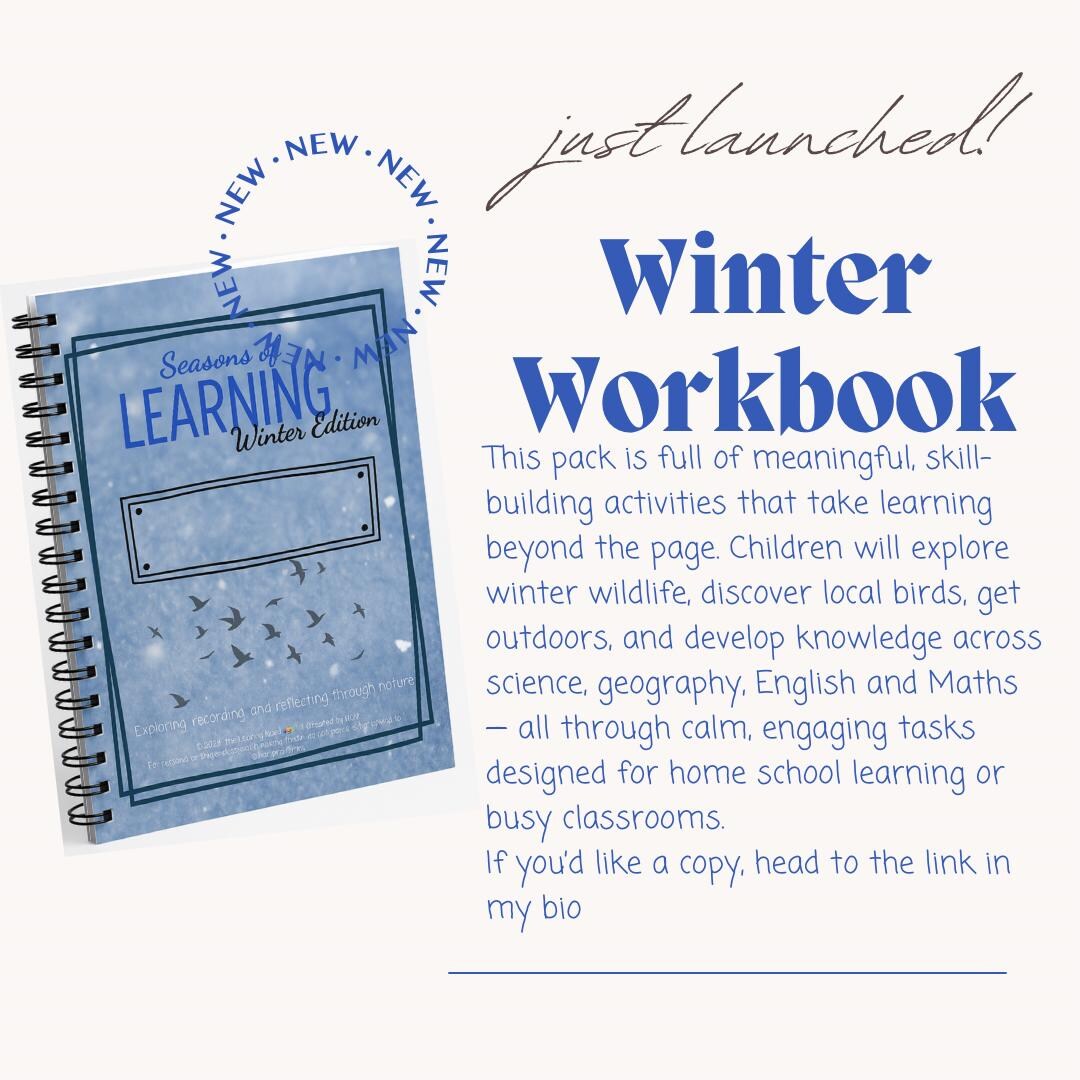 Winter Cross Curricular Pack | KS1 English Activities Suitable for Home ...