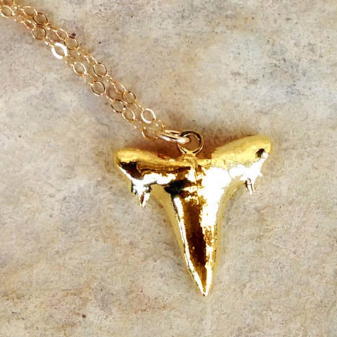 Shark Tooth Necklace Gold Jewelry Chain Jewellery Charm | Etsy