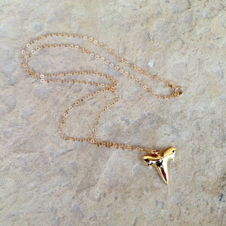 Shark Tooth Necklace Gold Jewelry Chain Jewellery Charm | Etsy
