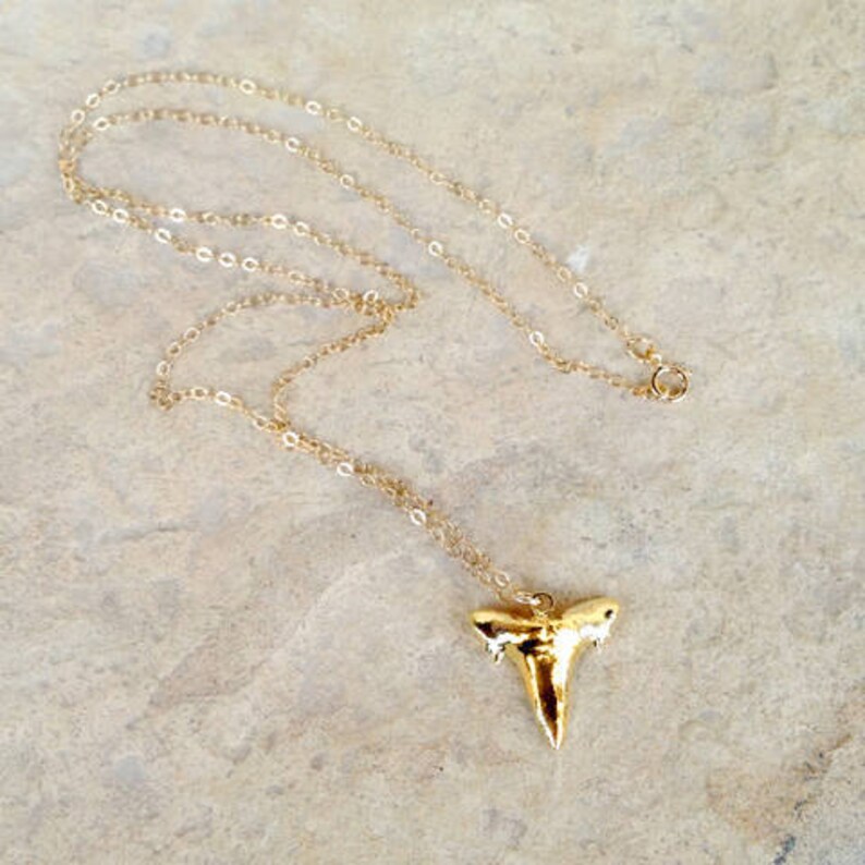 Shark Tooth Necklace Gold Jewelry Chain Jewellery Charm | Etsy