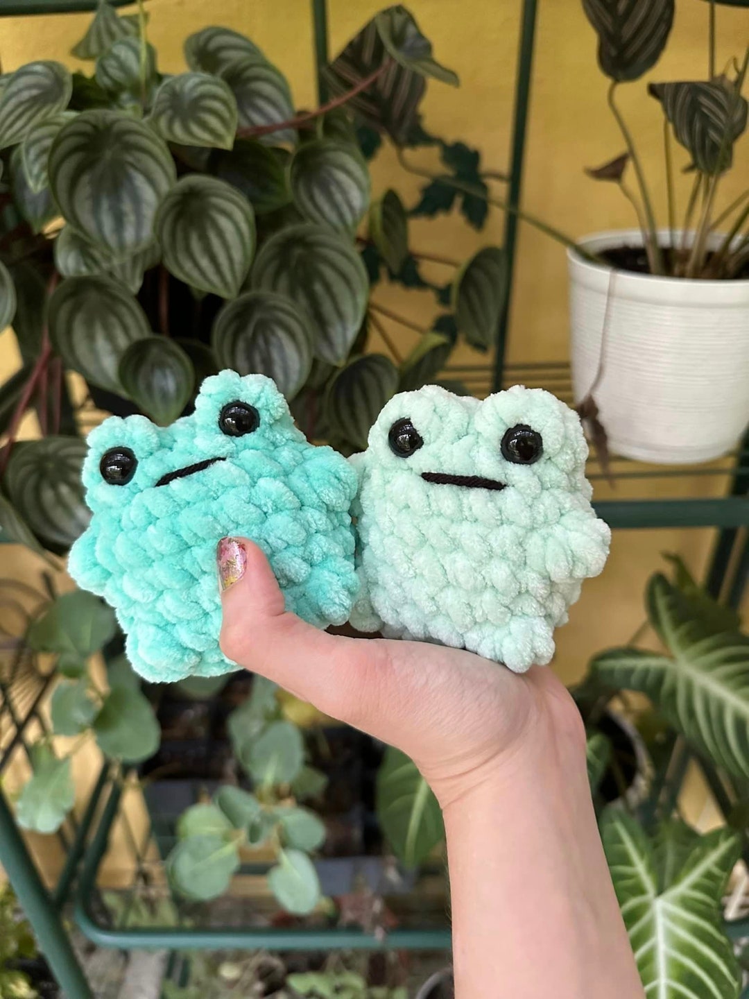 Frog Nugget - Etsy